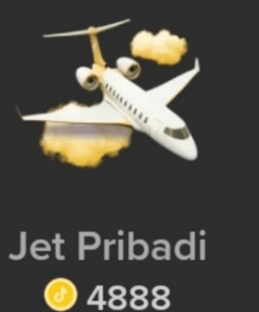 Gift TikTok Pesawat dan Gift Mobil balap, Ternyata Jutaan. - Enter In